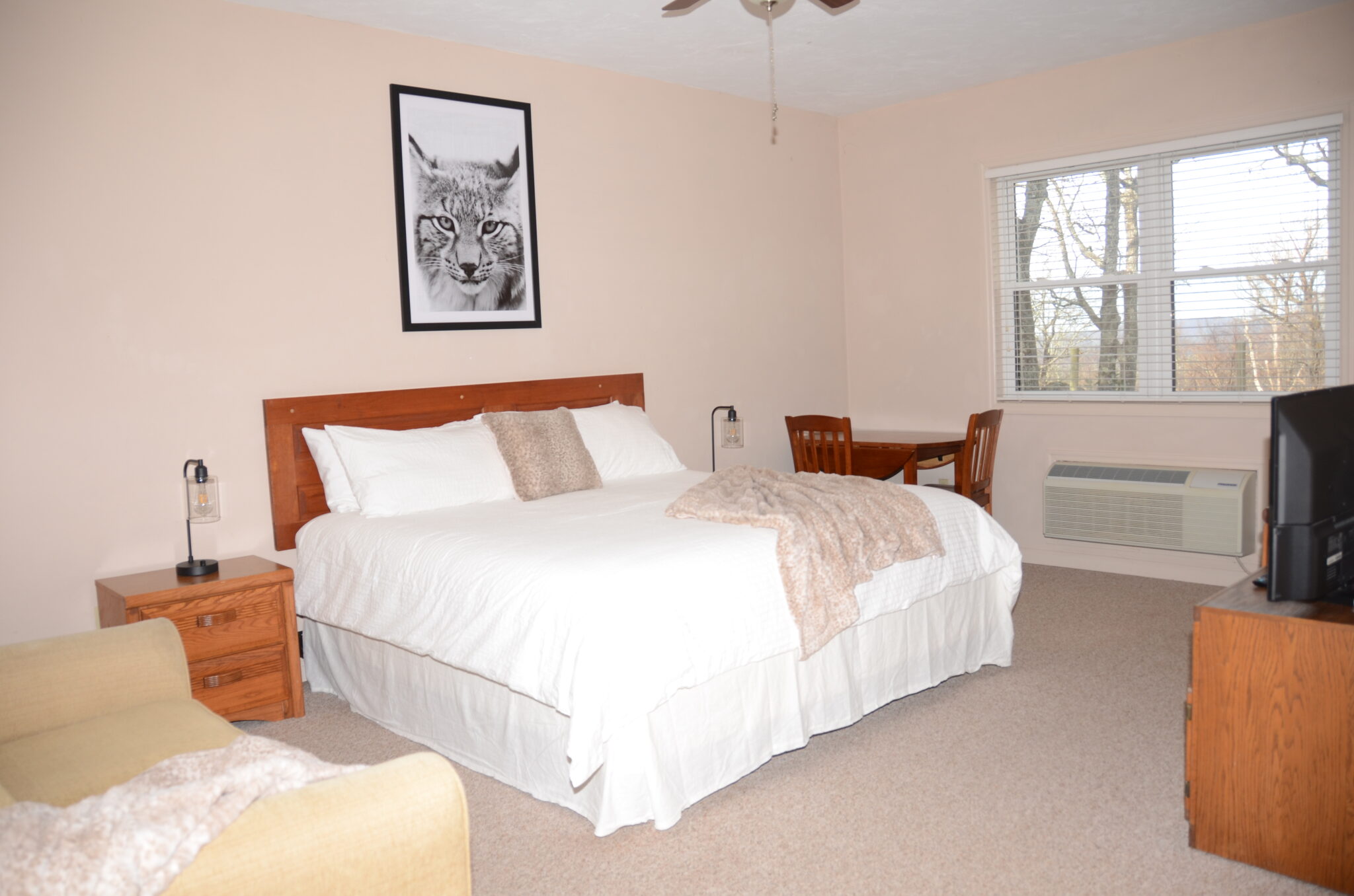 Bent Mountain Lodge - Our Rooms